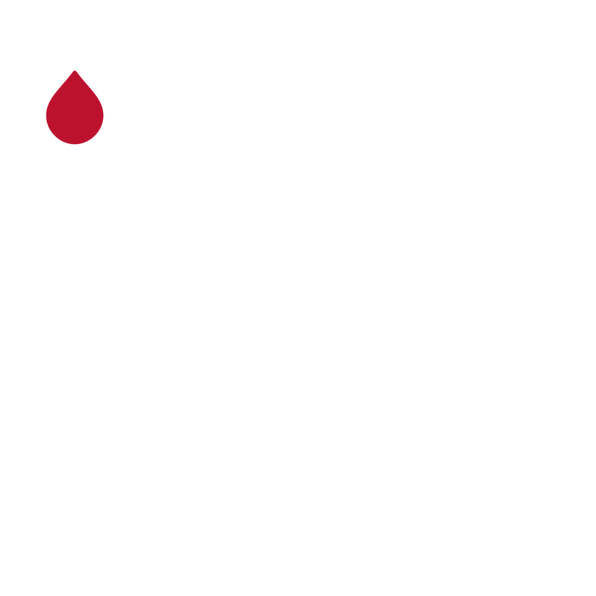 Scientific Programme | EAHAD 2026